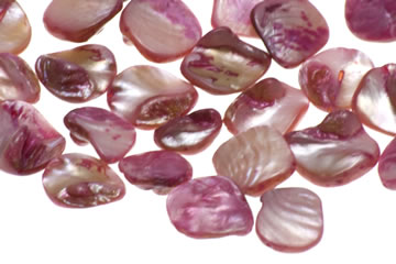 Mother of Pearl Pink Shell Bead (20 Pack) - Beads And More