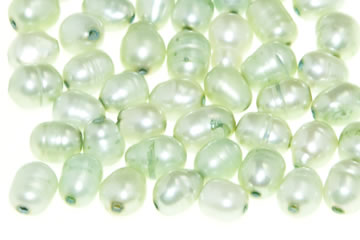Pale Green Freshwater Pearls (50 Pack) - Beads And More