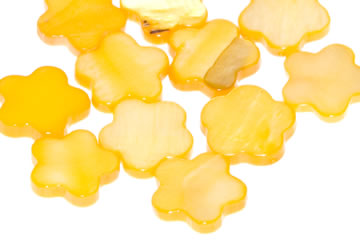 Yellow Flat Shell Flat Flower (10 Pack) - Beads And More