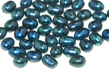 Petrol Blue Freshwater Pearls (50 Pack) - Beads And More